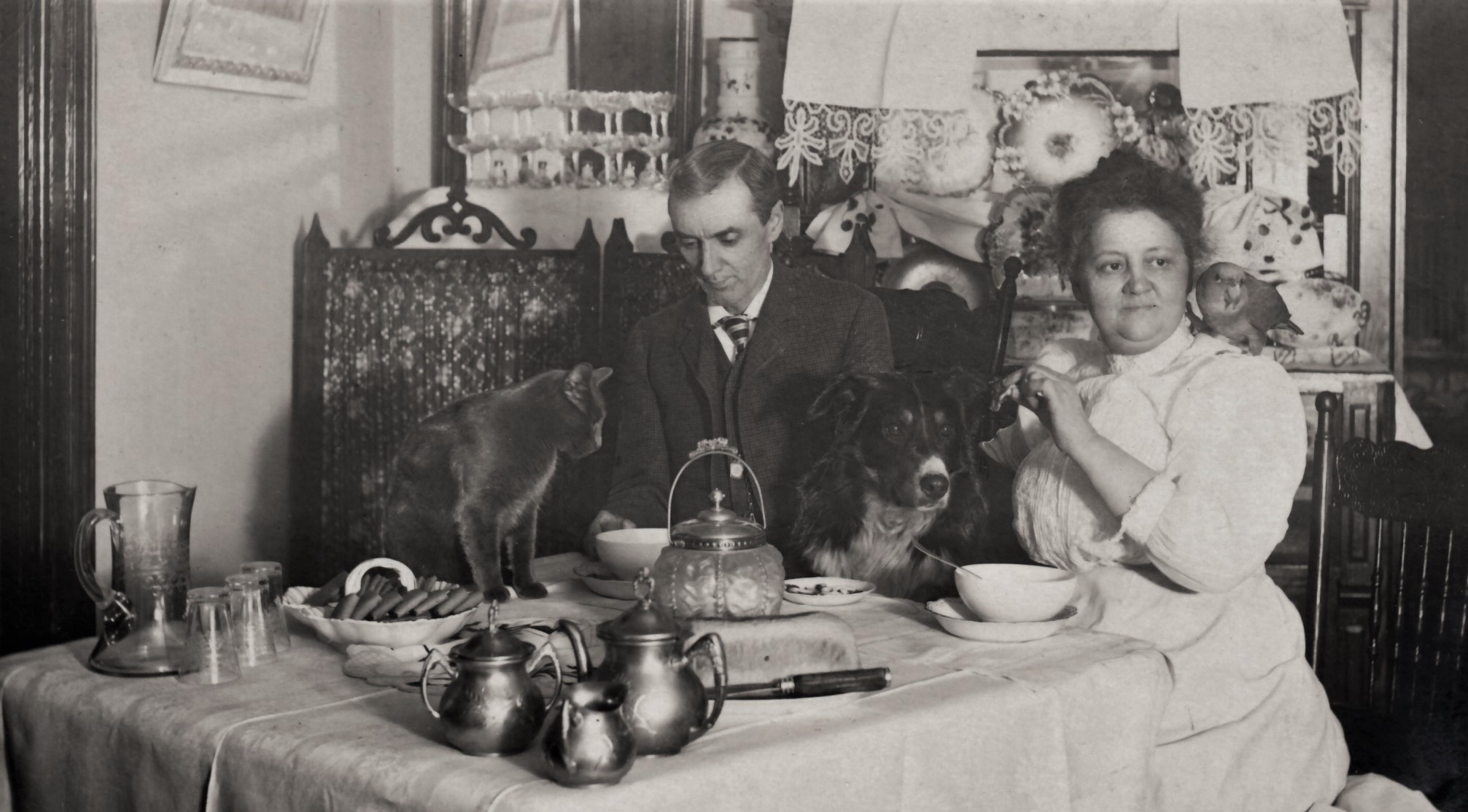 1899: The Lifesaving Pets of Brooklyn That Saved Three Families on St ...