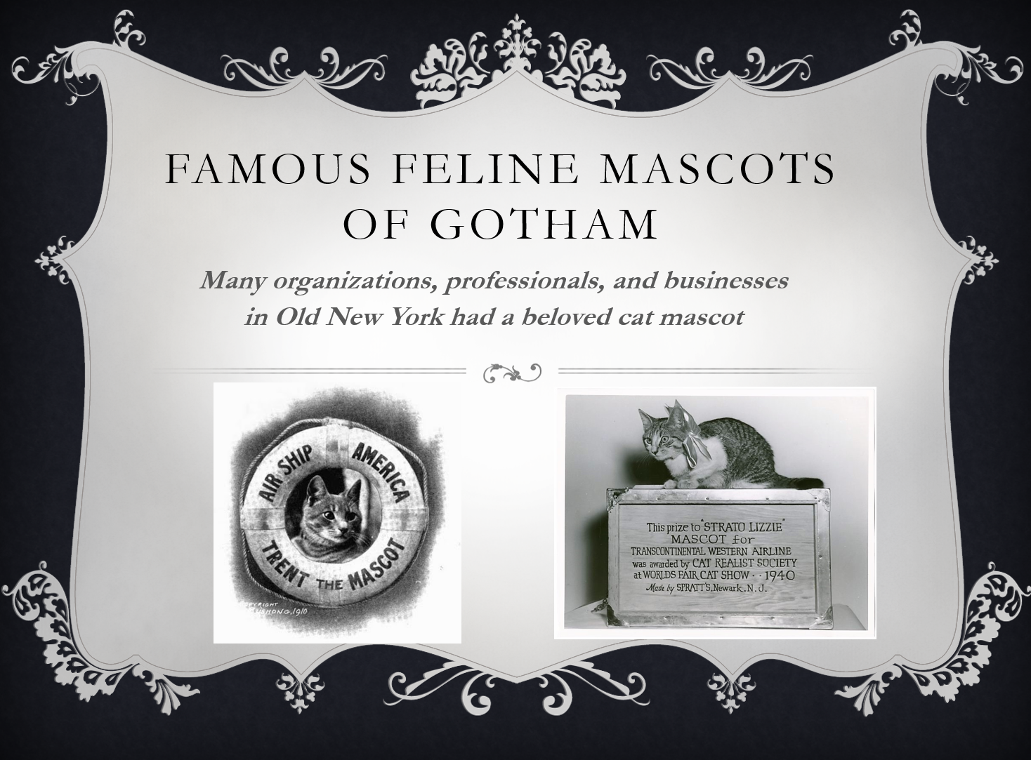 CAT Chats: Famous Feline Mascots of Gotham - The Hatching Cat of Gotham ...